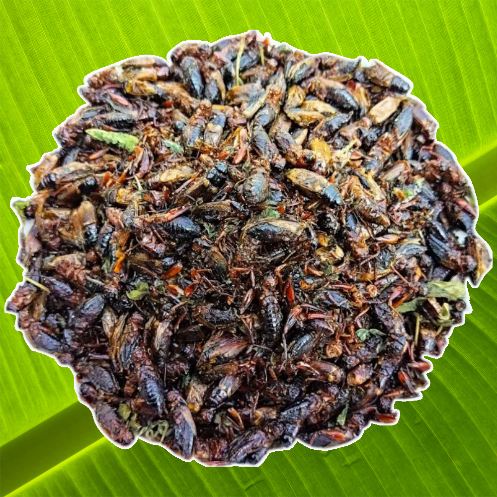 Fried Crickets
